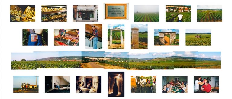 Domaine Alex Moreau Chassagne-Montrachet Blanc 2021 - WINE DECODED