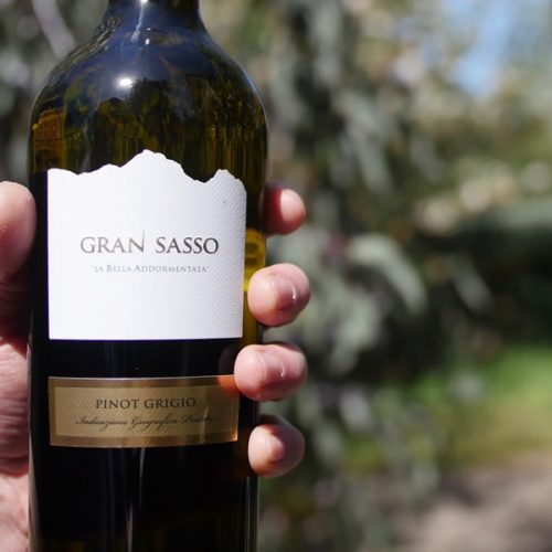 Gran Sasso Pinot Grigio 2015 - WINE DECODED