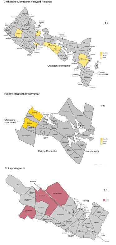 Domaine Alex Moreau Chassagne-Montrachet Blanc 2022 - WINE DECODED