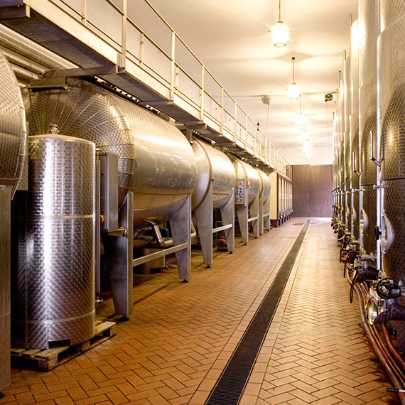Cavallotto Barolo 'Bricco Boschis' 2016 - WINE DECODED