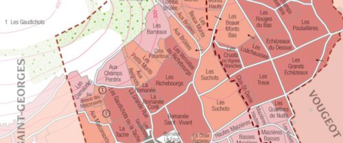 Wines from Vosne-Romanée - WINE DECODED