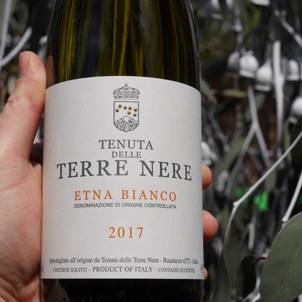 Terre Nere Etna Bianco 2019 - WINE DECODED