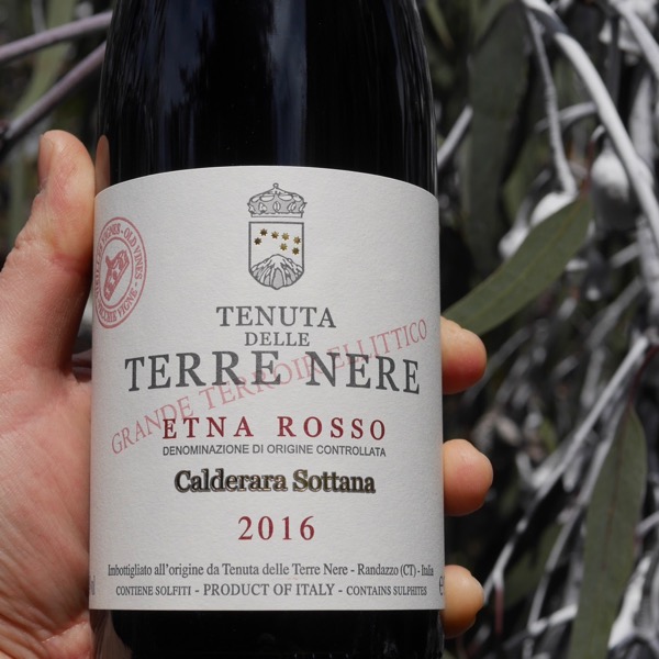 Terre Nere Santo Calderara Sottana Etna Rosso D.O.C. 2016 - WINE DECODED