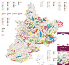 Gioso Langhe Nebbiolo 2021 - WINE DECODED
