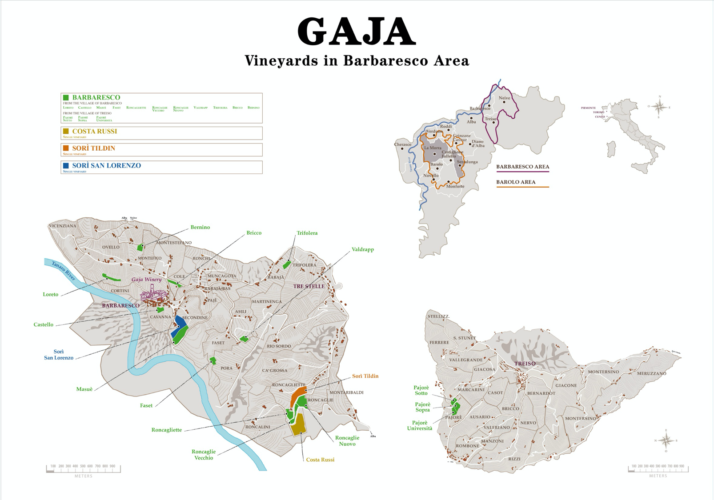 Gaja ~ November 2023 Offer - WINE DECODED