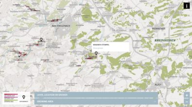 Wagner-Stempel Riesling Heerkretz 2017 - WINE DECODED