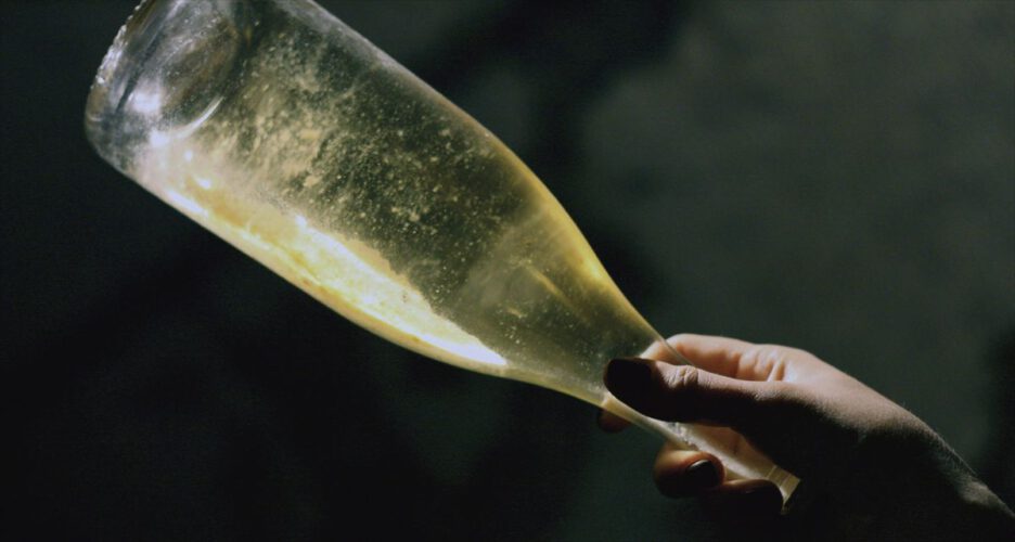 Getting Your Head Around Champagne - Varieties, Regions & Styles - WINE ...