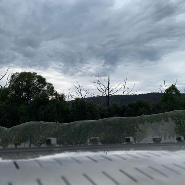 Dappled Appellation Chardonnay 2022 - WINE DECODED