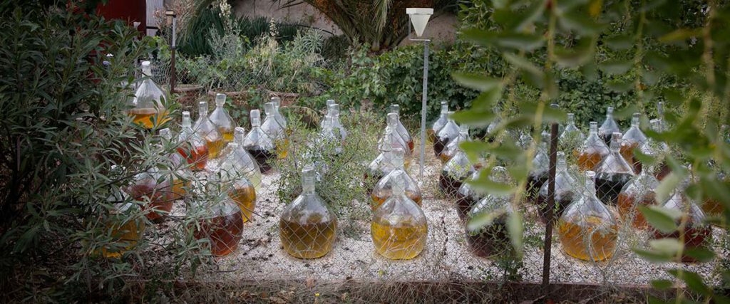 Rancio - WINE DECODED