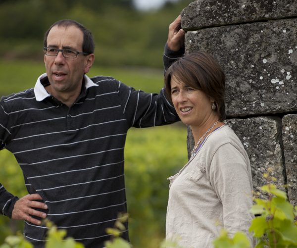 Domaine Jacques-Carillon Puligny-Montrachet 2020 - WINE DECODED