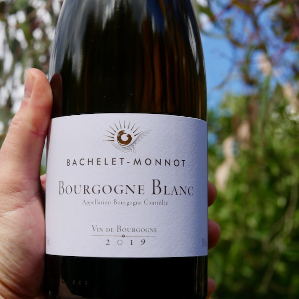 Domaine Bachelet-Monnot Bourgogne Blanc 2019 - WINE DECODED
