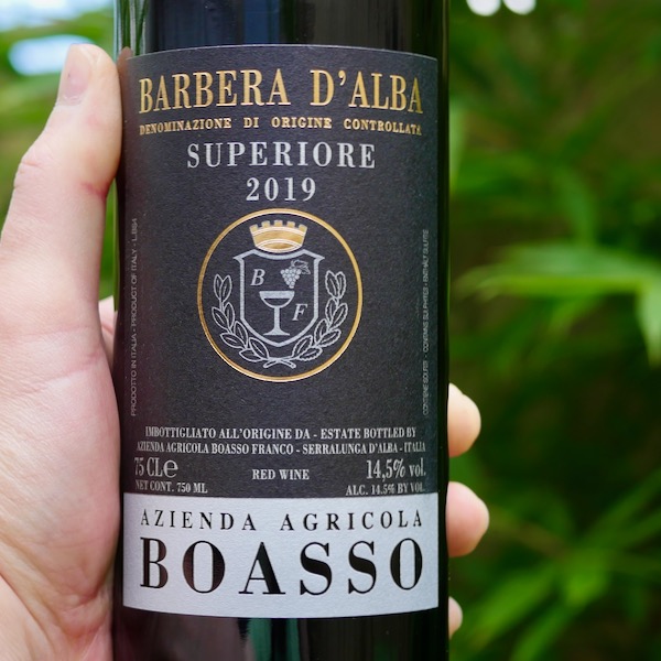 Boasso Barbera d'Alba 2019 - WINE DECODED