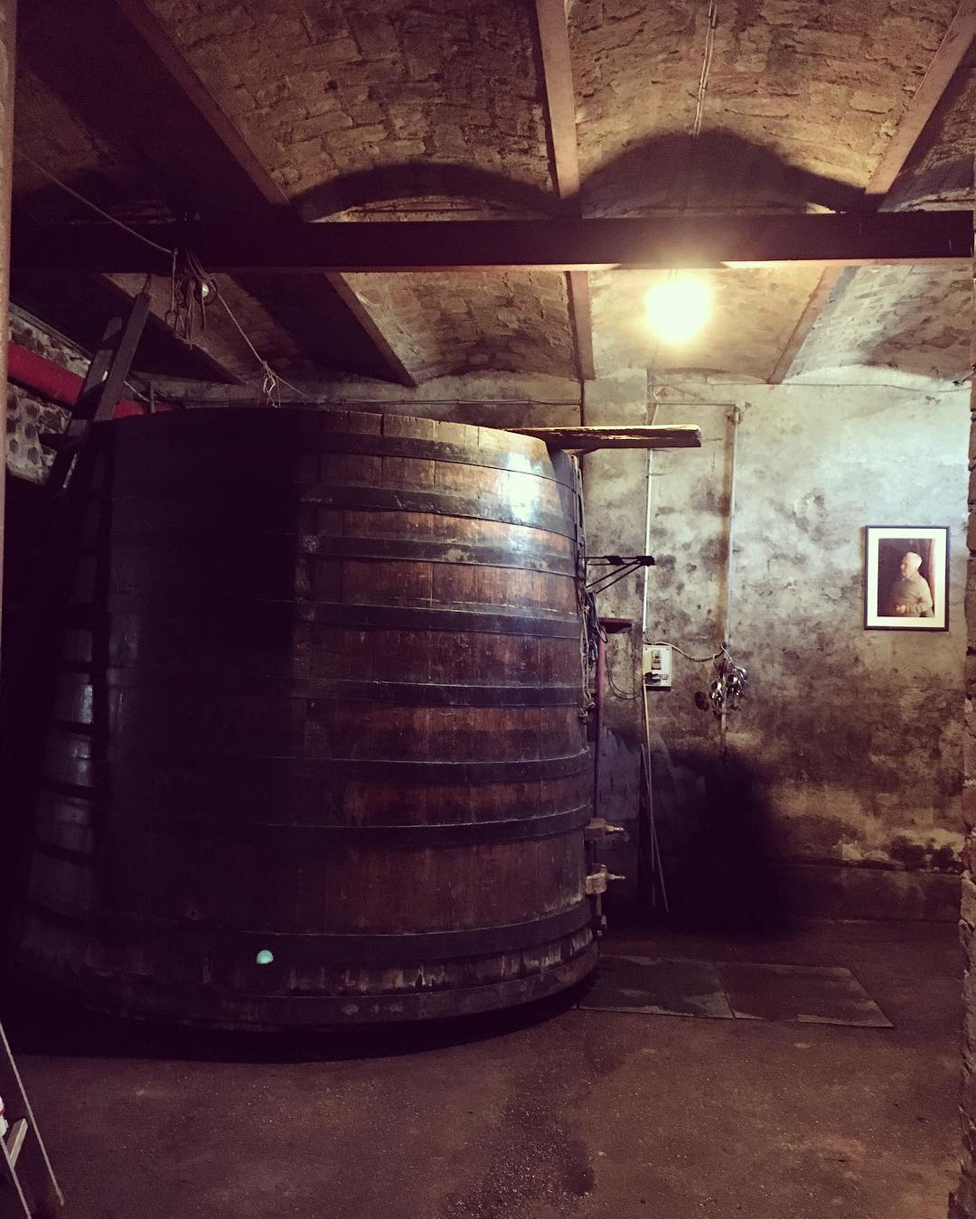 Giuseppe Rinaldi Dolcetto + Barbera Twin Pack 2017 - WINE DECODED