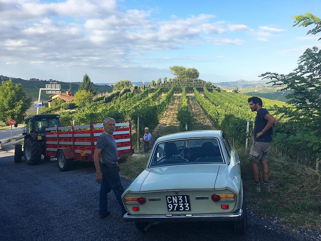 Giuseppe Rinaldi Rosae 2020 - WINE DECODED