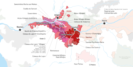 Roches Neuves Samur-Champigny 2021 - WINE DECODED