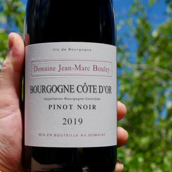 Domaine Jean-Marc et Thomas Bouley Bourgogne Rouge 2019 - WINE DECODED