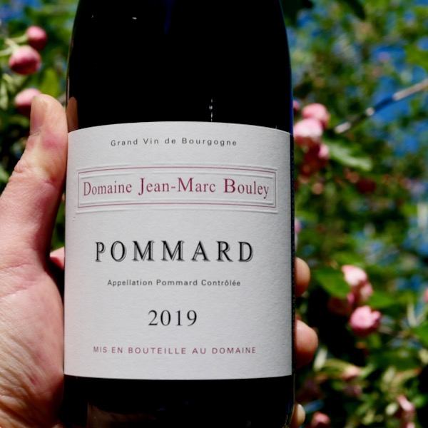 Domaine Jean-Marc et Thomas Bouley Pommard 2019 - WINE DECODED