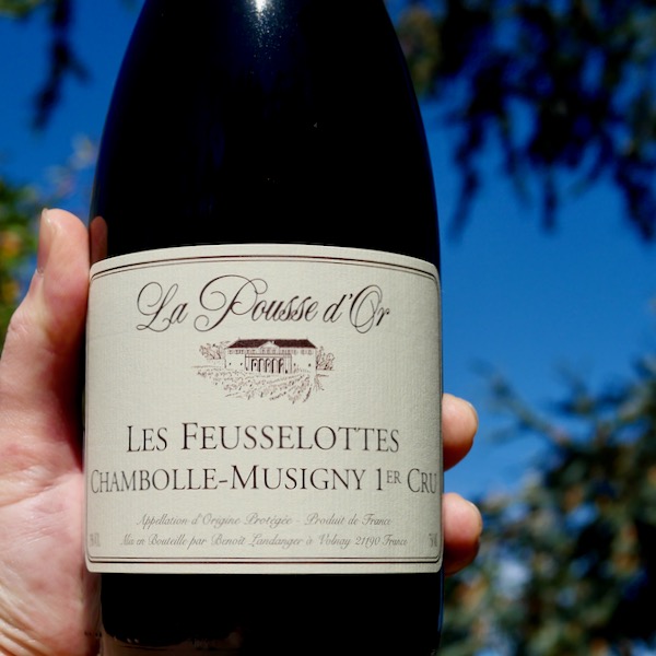 Domaine de la Pousse d'Or Chambolle-Musigny 1er Cru 'Les Feusselottes ...