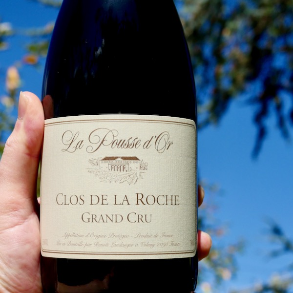 Domaine de la Pousse d'Or Grand Cru Clos de la Roche 2020 - WINE DECODED