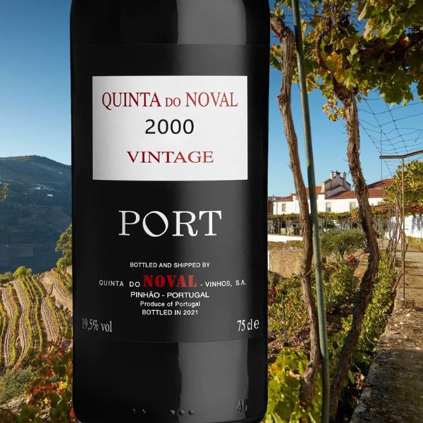 Quinta do Noval Vintage Port 2000 - WINE DECODED