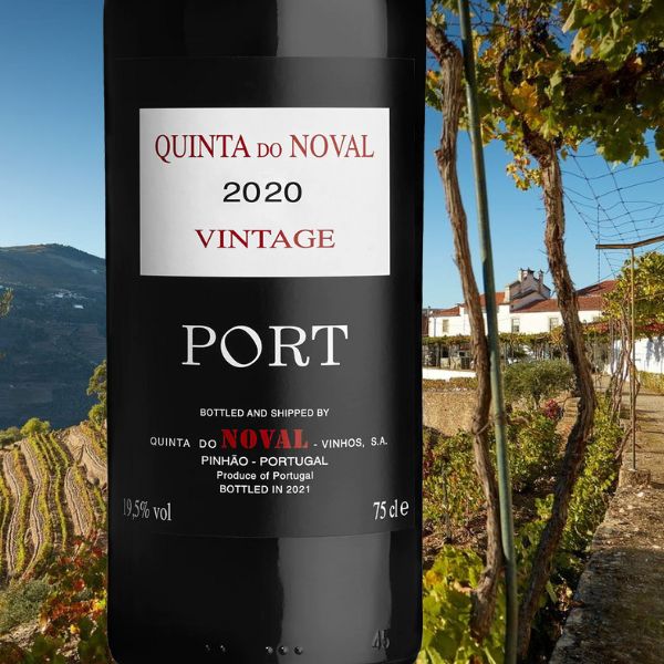 Quinta do Noval Vintage Port 2020 - WINE DECODED