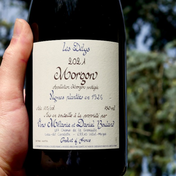 Daniel Bouland Morgon Délys 'Vignes de 1926' 2021 - WINE DECODED