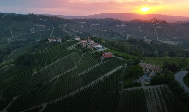 Boasso Langhe Nebbiolo 2020 - WINE DECODED