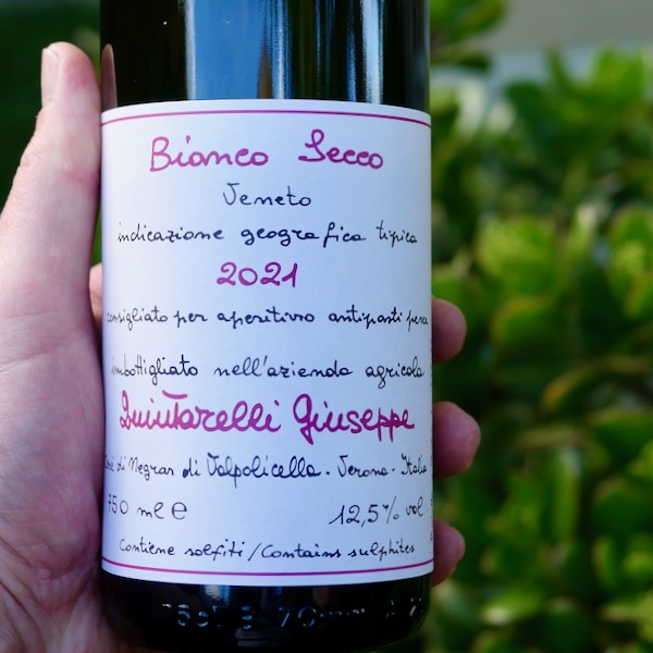 Giuseppe Quintarelli 'Bianco Secco' 2021 - WINE DECODED