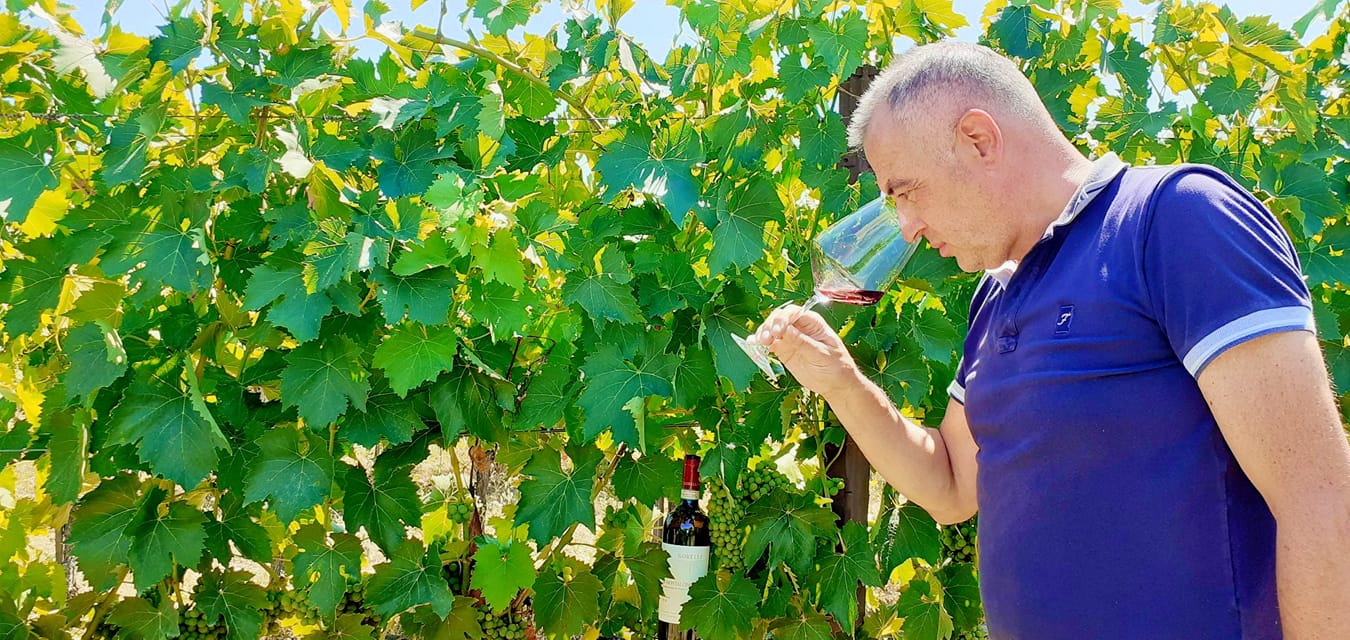 Gorelli Brunello di Montalcino 2018 - WINE DECODED