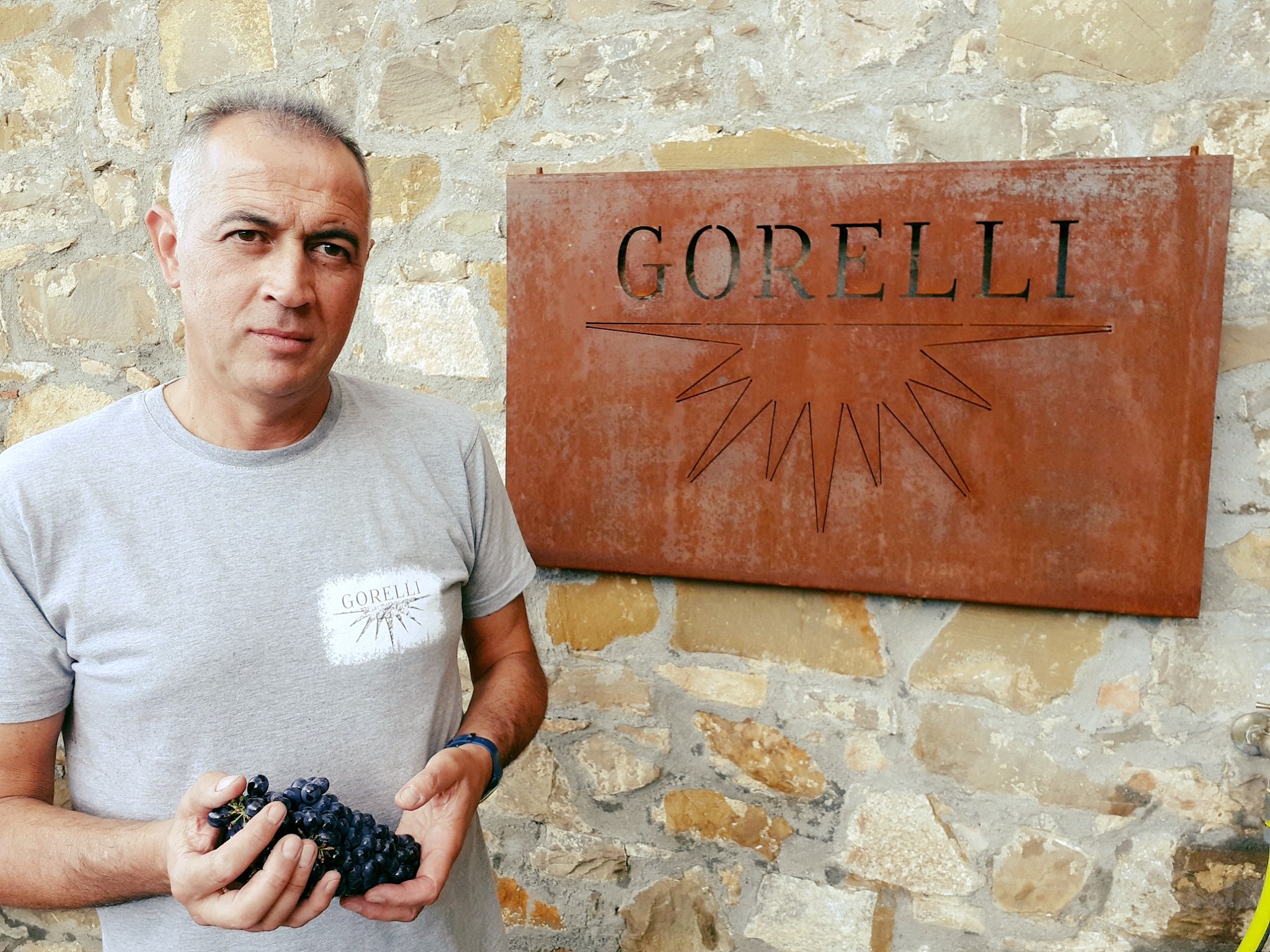 Gorelli Brunello di Montalcino 2018 - WINE DECODED
