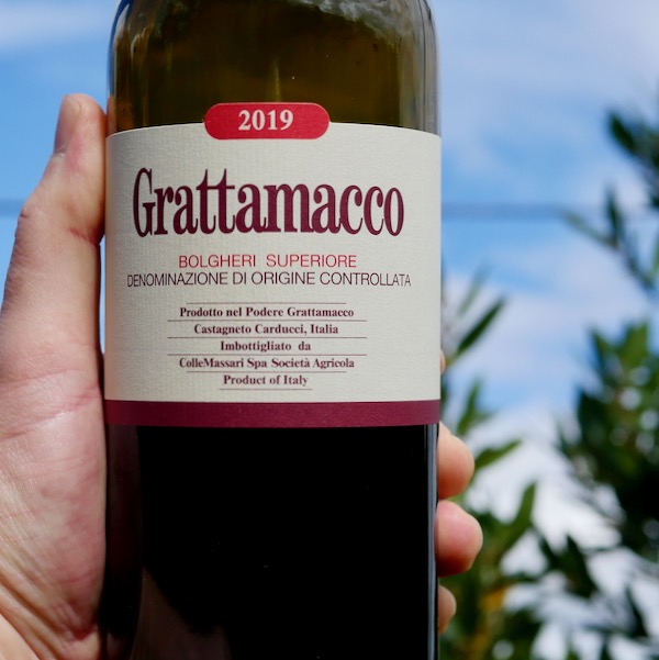 Grattamacco Bolgheri Rosso Superiore 2019 - WINE DECODED