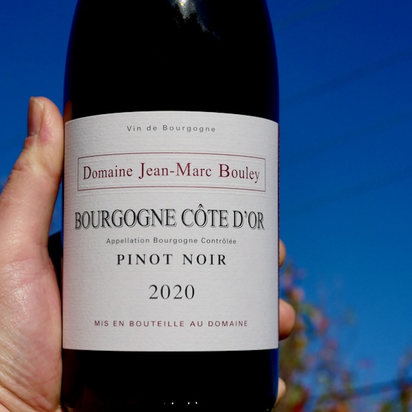 Domaine Jean-Marc et Thomas Bouley Bourgogne Rouge 2020 - WINE DECODED