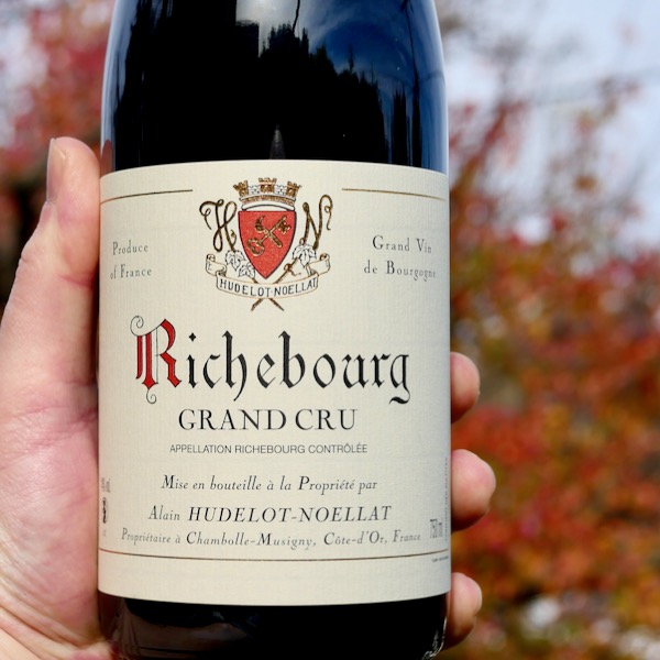 Domaine Hudelot-Noëllat Richebourg 2020 - WINE DECODED