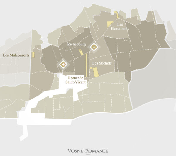 Domaine Hudelot-Noëllat Vosne-Romanée 2020 - WINE DECODED