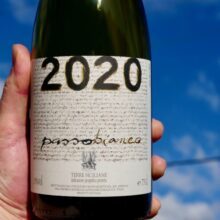 Passobianco Chardonnay 2020 - WINE DECODED