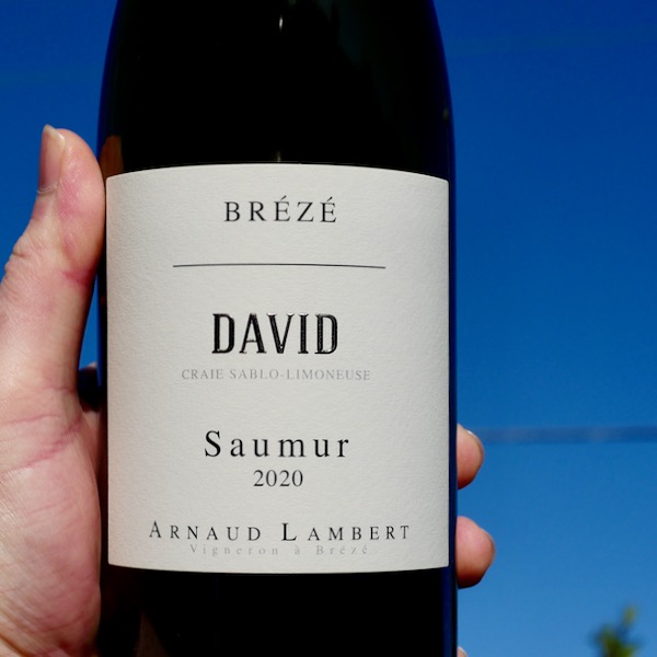 Domaine Arnaud Lambert Samur Brézé 'Clos David' 2020 - WINE DECODED