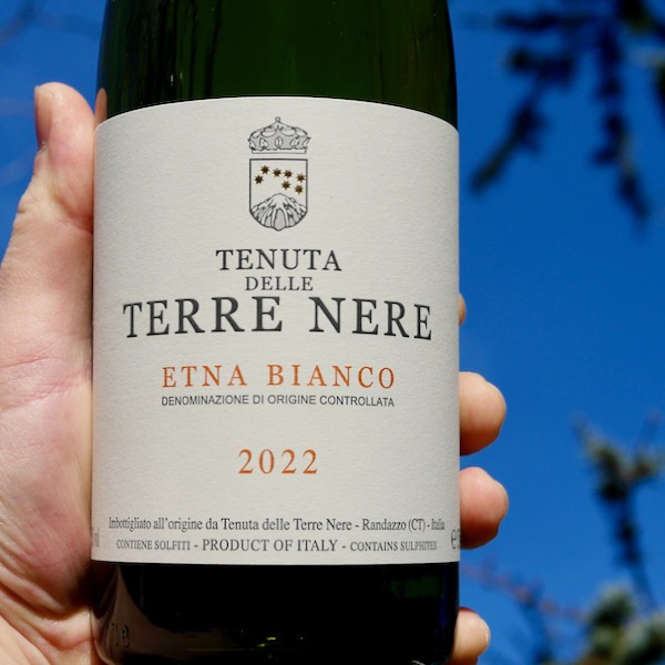 Terre Nere Etna Bianco 2022 - WINE DECODED