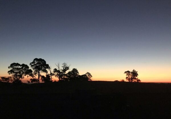 A.Rodda Wines - WINE DECODED