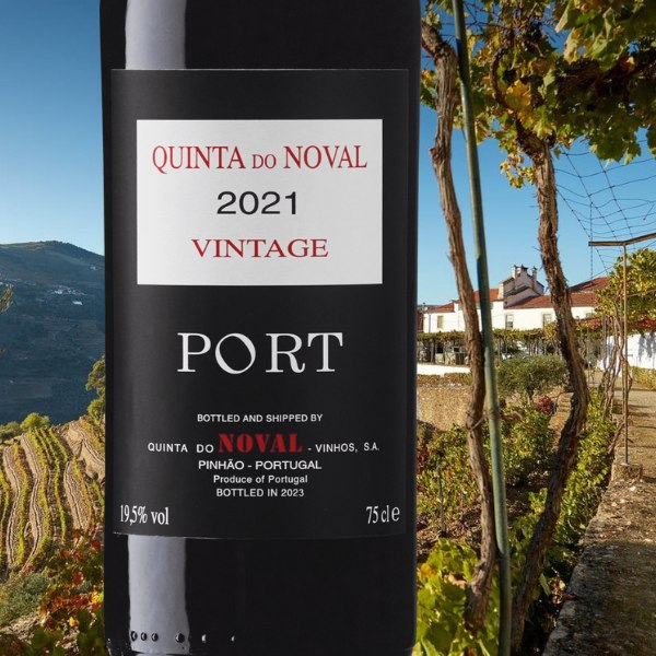 Quinta do Noval Vintage Port 2021 - WINE DECODED