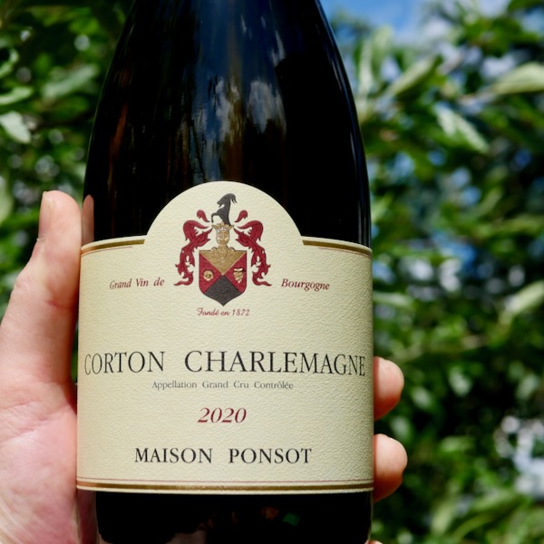 Maison Ponsot Grand Cru Corton-Charlemagne 2020 - WINE DECODED