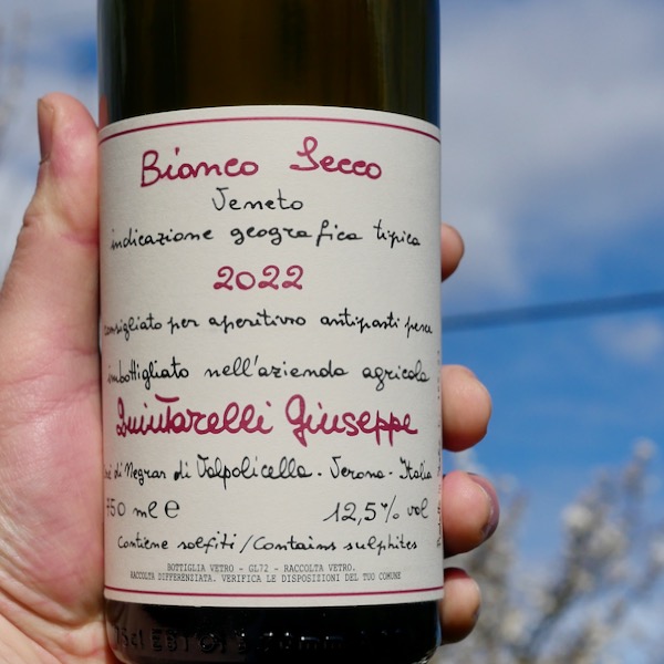 Giuseppe Quintarelli 'Bianco Secco' 2022 - WINE DECODED