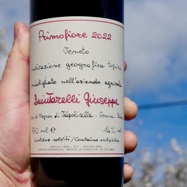 Giuseppe Quintarelli 'Primafiore' 2022 - WINE DECODED
