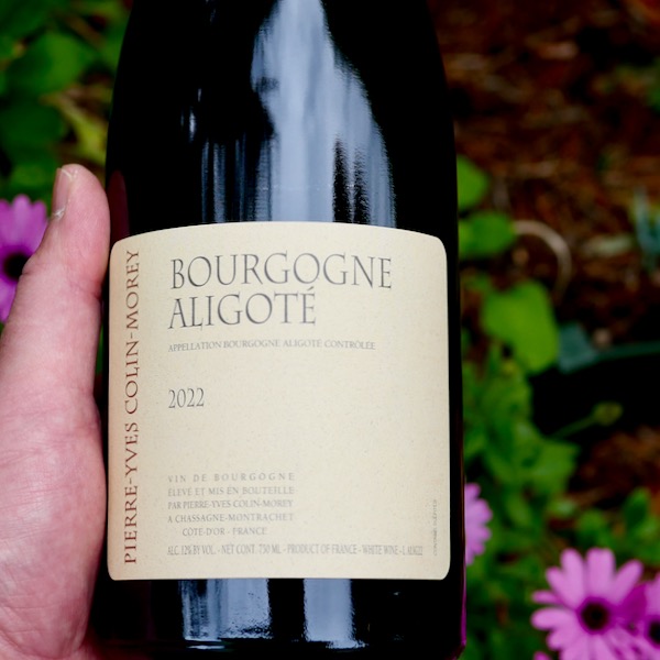 Pierre-Yves Colin-Morey Aligoté 2022 - WINE DECODED