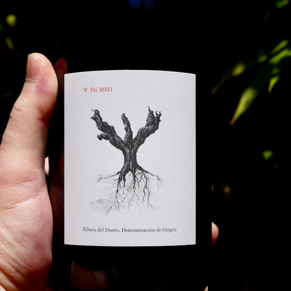 Bodegas y Vinedos Alnardo ‘PSI’ Tinto Fino 2021 - WINE DECODED