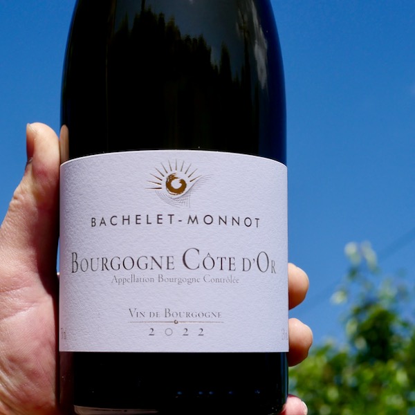 Domaine Bachelet-Monnot Bourgogne Blanc Côte d'Or 2022 - WINE DECODED