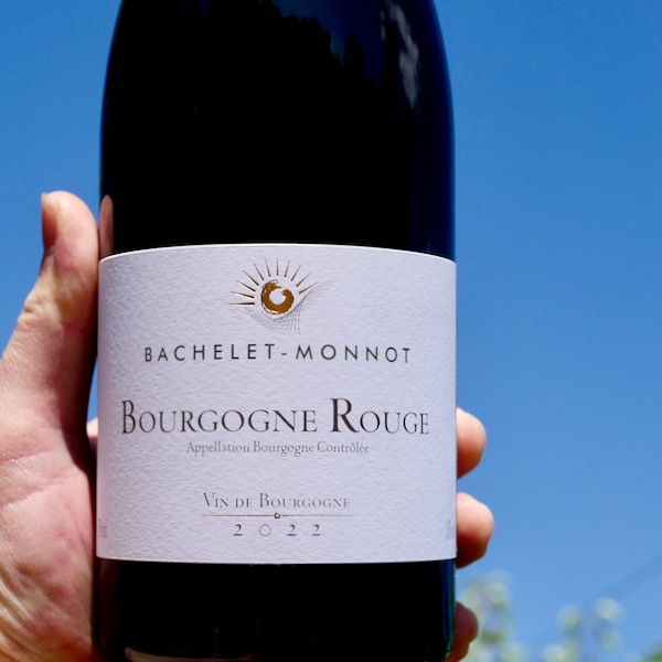 Domaine Bachelet-Monnot Bourgogne Rouge 2022 - WINE DECODED