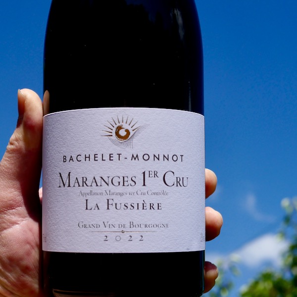 Domaine Bachelet-Monnot Maranges 1er Cru La Fussière Rouge 2022 - WINE ...