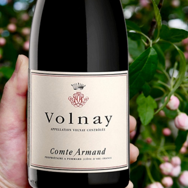 Domaine Comte Armand Volnay 2022 - WINE DECODED