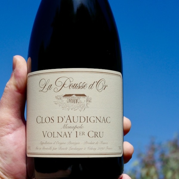 Domaine de la Pousse d'Or Volnay 1er Cru Clos d'Audignac' Monopole 2022 ...