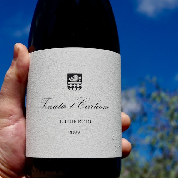 Tenuta di Carleone 'Il Guercio' 2022 - WINE DECODED